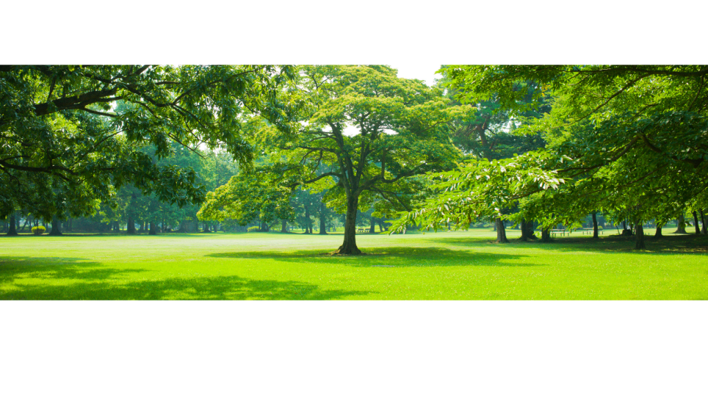 Blue Minimalist Business Economy Class Zoom Virtual Background (1 ...